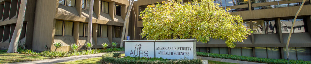 Student Profile: Nonso Anene - AUHS News